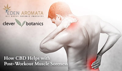 How CBD Helps with Post-Workout Muscle Soreness – CleverBotanics